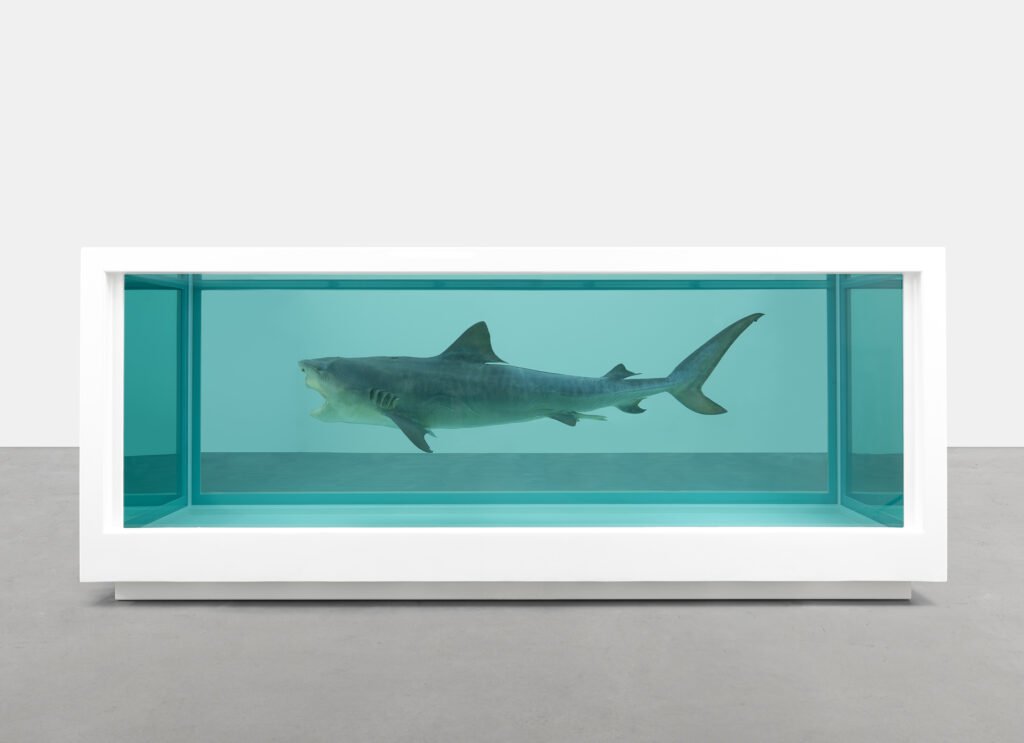 Damien Hirst: ‘Natural History’ | Art in London
