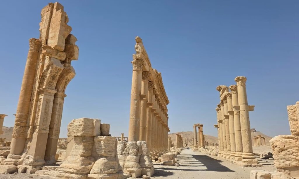 Heritage experts call for international task force to plan Palmyra ...